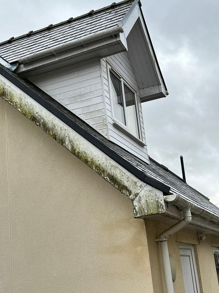 Niklas Window & Gutter Cleaning